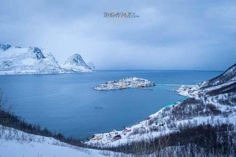 Ruta por la isla de SENJA. QUÉ VER (+ dónde ver auroras)
